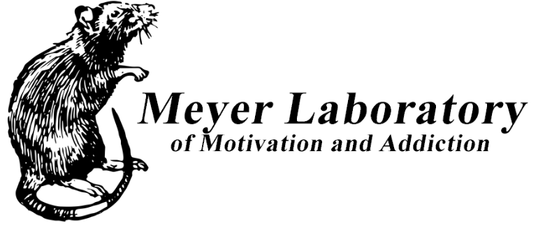 Meyer Lab – Department of Psychology, College of Arts and Sciences
